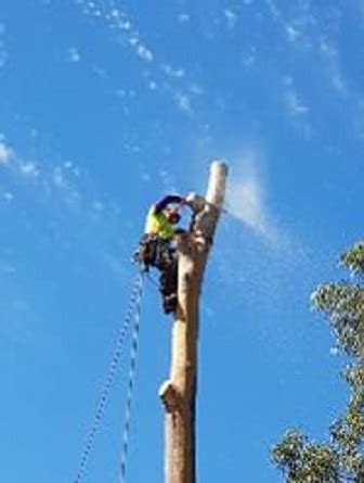 ManPower Trees Tree Stump Removal Melbourne