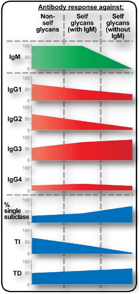 Igg Antibody Subclass Responses Are Qualitatively Different Between Download Scientific Diagram