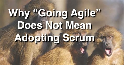 Why “going Agile” Does Not Mean Adopting Scrum Jimmie Butler Strategy Consultant