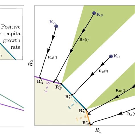 Zero Net Growth Isoclines Zngis And Coexistence Cones For Ecosystems Download Scientific