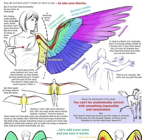 Pin by 𝘣𝘶𝘳𝘺 𝘮𝘦 𝘭𝘰𝘸 on Arte Animación Wings drawing Wing anatomy Art tutorials