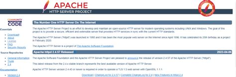 Discovering Nginx Alternative Exploring The Best Web Server Options