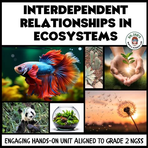 Interdependent Relationships In Ecosystems Dr Jans Math And Science Lab