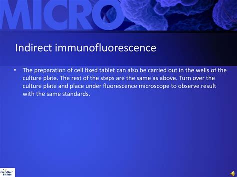 Ppt The Complete Guide To Antibody Detection By Immunofluorescence Technique Powerpoint
