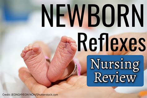 Newborn Infant Reflexes Nclex Questions Nursing Quiz