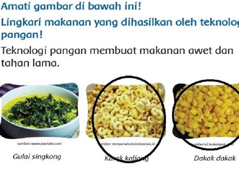Kunci Jawaban Kelas SD MI Tema Perkembangan Teknologi Dan Produksi Pangan Halaman