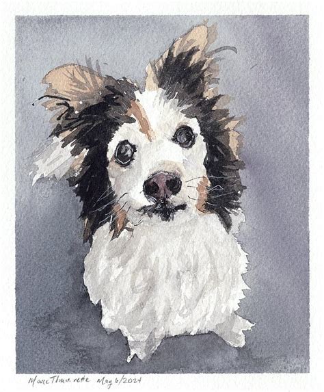 Treats Please I Sit Nice For You Panko Watercolour On Arches From May 1st Album On Imgur