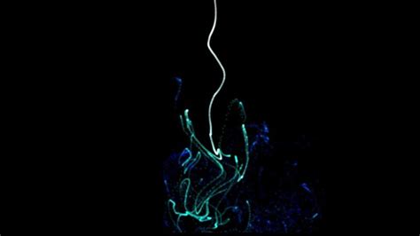 Particle Animated Motion Graphics Animated Background Animation