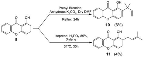 Synthesis Of Prenylated Xanthones 10 And 11 Download Scientific Diagram