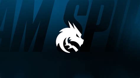 Team Spirit попросила исправить логотип в Dota 2. Спорт-Экспресс