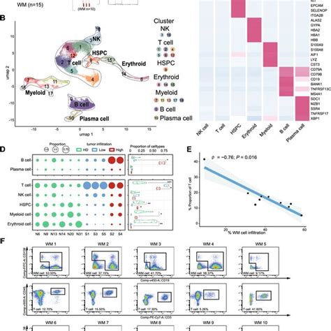 scrna seq profiling and abnormality of erythroid development in wm a