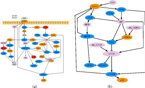 Figure 1 From Generating Executable Models From Signaling Network Connectivity And Semi