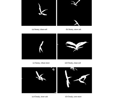 The Greenness Identification Results Using The Proposed Method Download Scientific Diagram