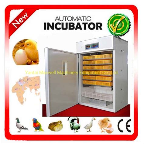 Automatic Chicken Incubator Poultry Farms Equipment Chicks Egg Incubator China Incubator And