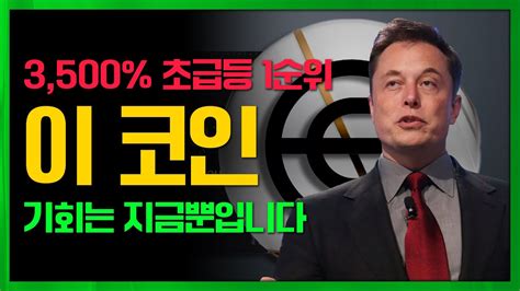 하루만에 3500 급등한 이 코인의 충격적인 비밀 도지코인 리플코인 비트코인 이더리움 챗gpt Youtube