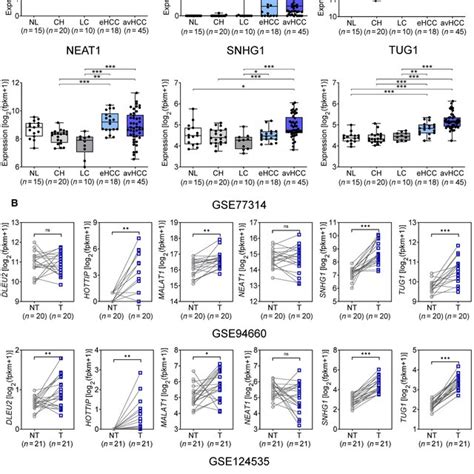 Differential Gene Expression Of Six Lncrna Candidates In Hcc A
