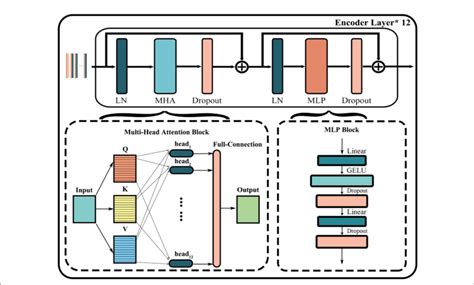 Figure Structure Of Encoder Layer In Vision Transformer Download
