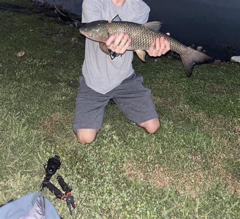 Why Does My Line Keep Snapping Tonight I Managed To Catch A Few Carp