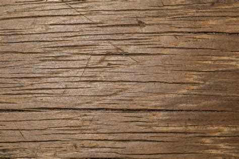 Premium Photo Tree Wood Texture Premium Photo Tree Wood Texture