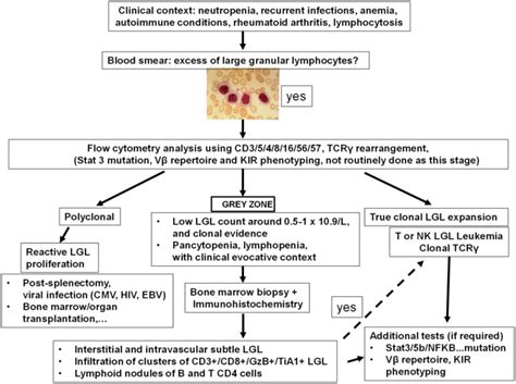 Chronic Neutropenia In Lgl Leukemia And Rheumatoid Arthritis Abstract Europe Pmc