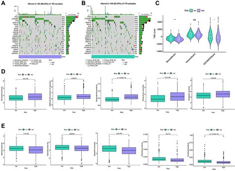 Figure 7 From Identification And Validation Of Slco4c1 As A Biological Marker In Hepatocellular