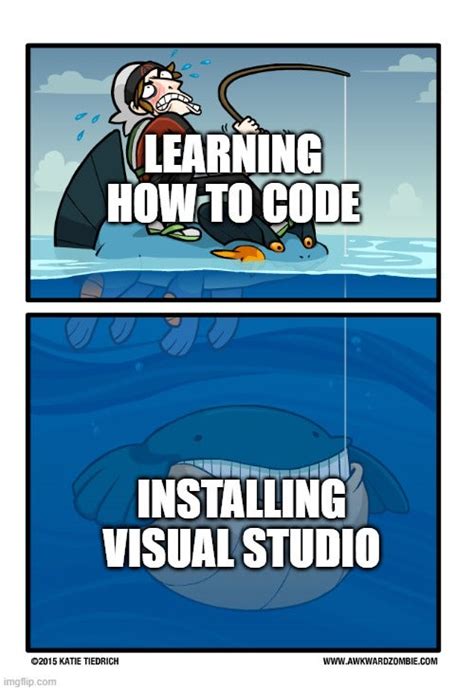my code won t run because something is wrong with launch json r c
