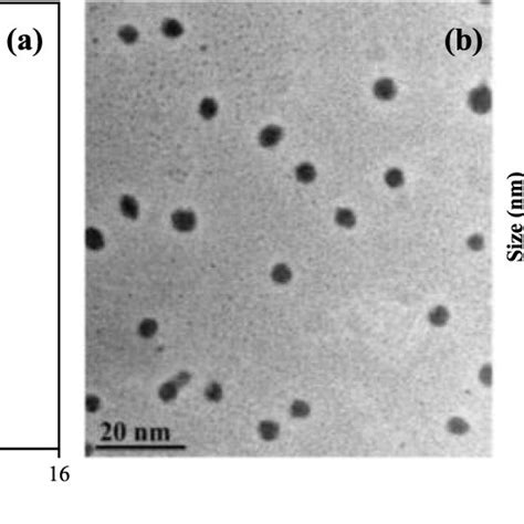 A Particle Size Evolution Of Peg At Peg Nps Prepared By