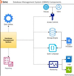 DBMS Database Management Systems Explained 2022