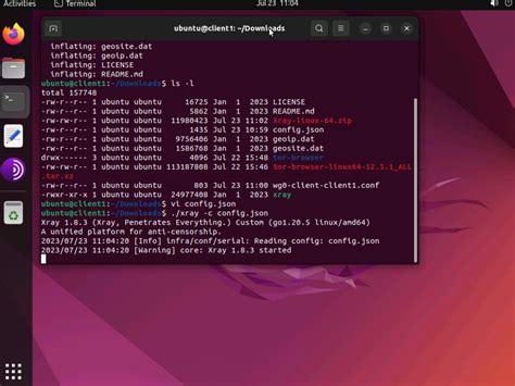 Wireguard Over Xray
