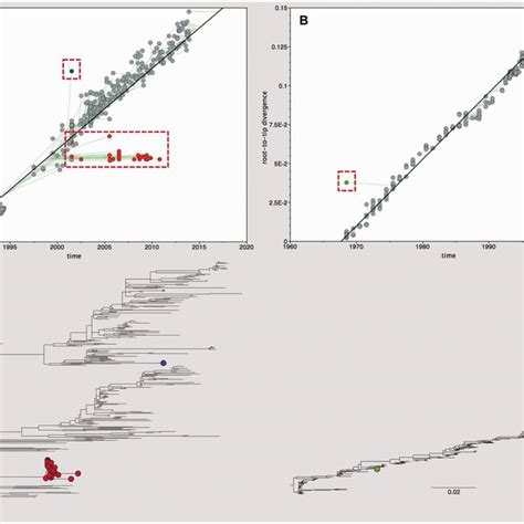 Heterochronous Data Quality Control A Root To Tip Regression Plot