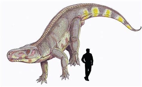 Fasolasuchus Wiki Prehistórico