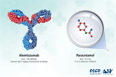Large Molecule Là Gì Định Nghĩa Ví Dụ Và Cách Sử Dụng Cụm Từ Large