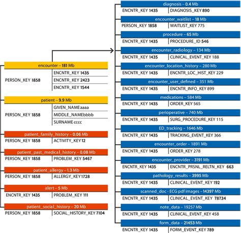 Visual Representation Of Data Tables Extracted From Cerner Millenium Download Scientific