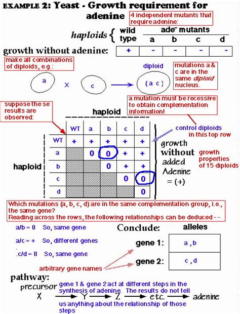 Lecture January 11 Complementation