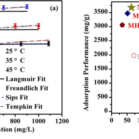 The Pbii Adsorption Isotherm A And D R Isotherm Model B Of Download Scientific Diagram