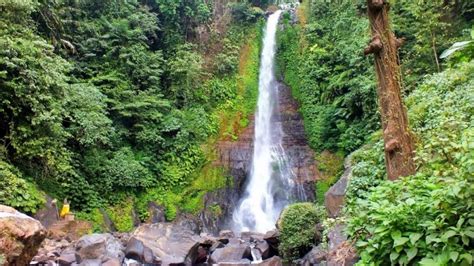 Pesona Air Terjun Gitgit Bali Lokasi Tiket Masuk Jam Buka