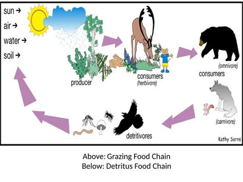 Environmental Engineering Introductionpptx