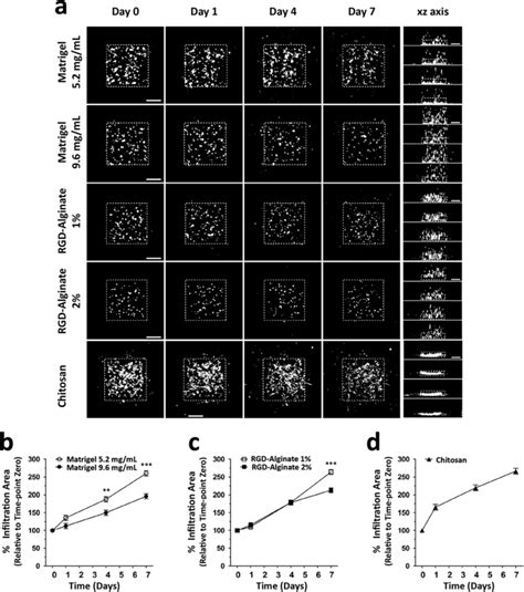 Msc Motility In 3d Microenvironments A Representative Maximum Download Scientific Diagram