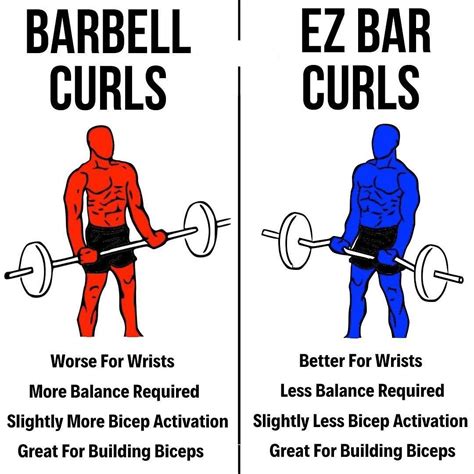 The What Are The Different Types Of Curls Workout With Simple Style Stunning And Glamour