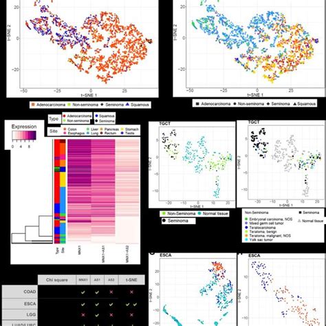 Site Specific T Sne Clustering For The Identification Of Disease Download Scientific Diagram