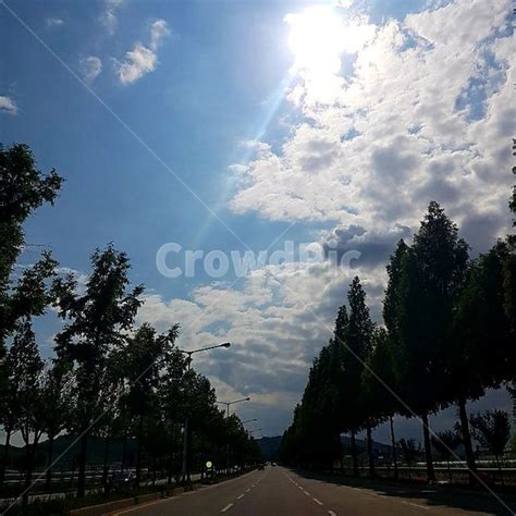 Road 도로 Highway Freeway 아스팔트 사진이미지일러스트캘리그라피 아이쿠야작가