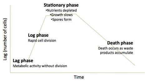 Bacterial Growth Curve Microbiology Medbullets Step Bacterial Growth Curve Microbiology Medbullets Step