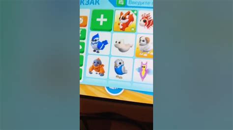 Любимые петы адопт ми которых я приближаю обзор инвентаря ️🔥 Youtube