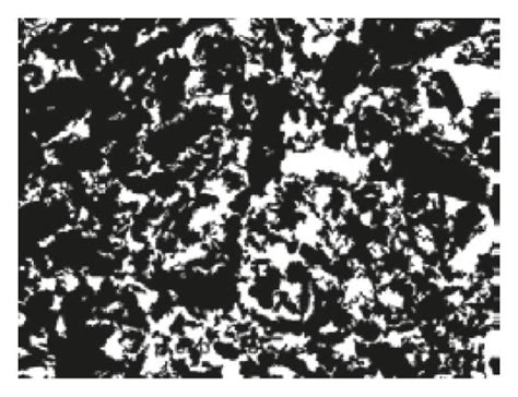 the sem image segmentation into binary image of soft clay under