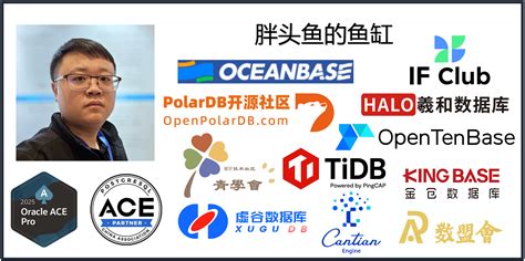 数据库管理 第316期 Oracle Db 238新特性一览（20250417）oracle 238 Csdn博客