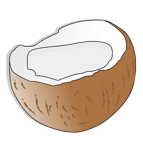Kokosnuss Kokosöl Kokosmilch Kostenloses Bild Auf Pixabay