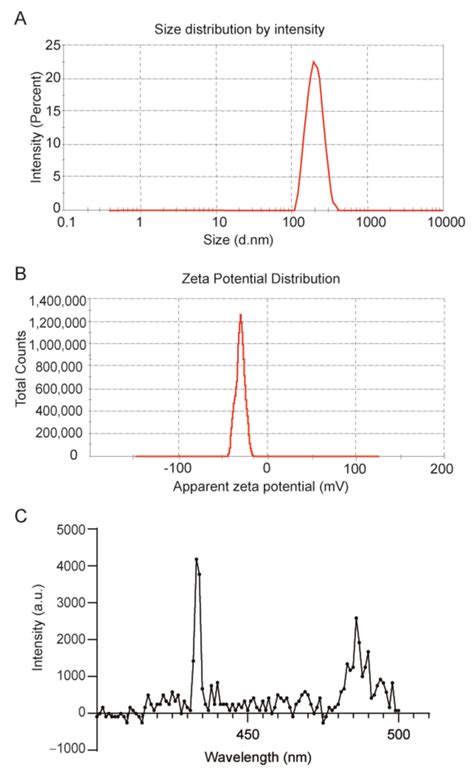Physicochemical Characterization Of Tta Uc Plga Nps Representative A