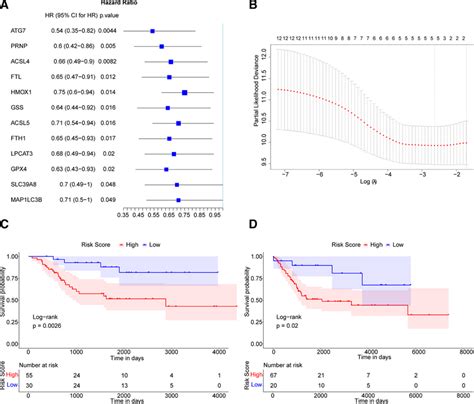 Construction And Validation Of The Risk Score Model A Forest Map