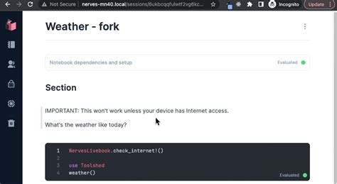 Maybe Nice To Have Hexdoc · Issue 347 · Nerves Livebooknerves