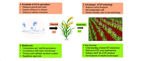Schematic Illustration Of The Potentials And Bottlenecks Of